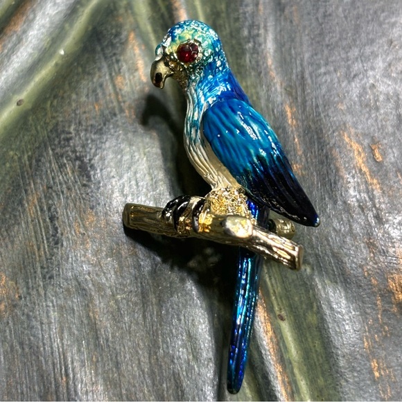 Jewelry | Vintage Blue White Wrubie Eye Parrot Parakeet Bird Lapel Pin ...